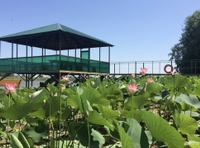 Иконка канала Астрахань . База отдыха «Раскаты  Каспия"