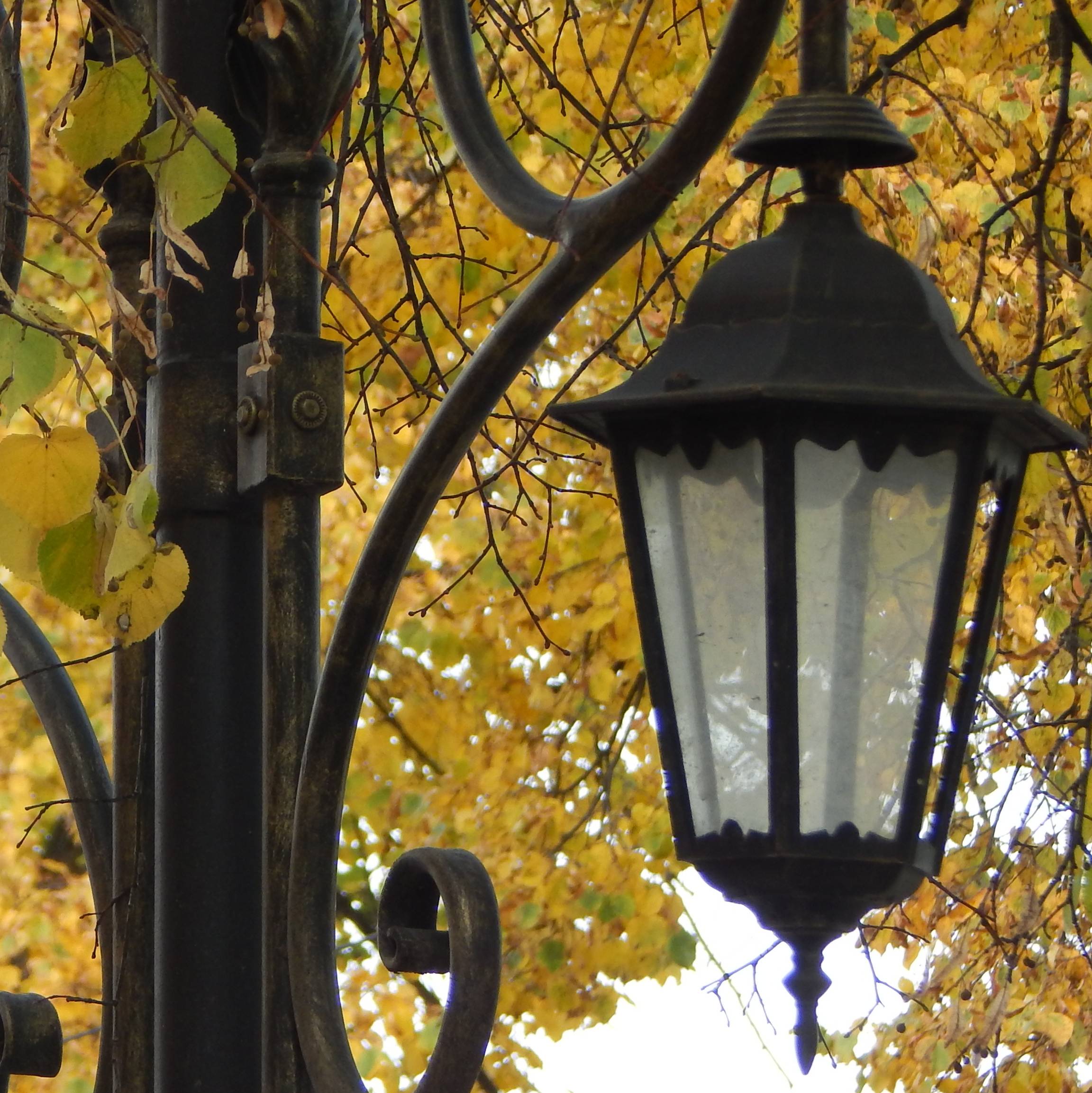 Иконка канала Провинциальные поэты