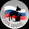 Иконка канала SALE PETS RUSSIA