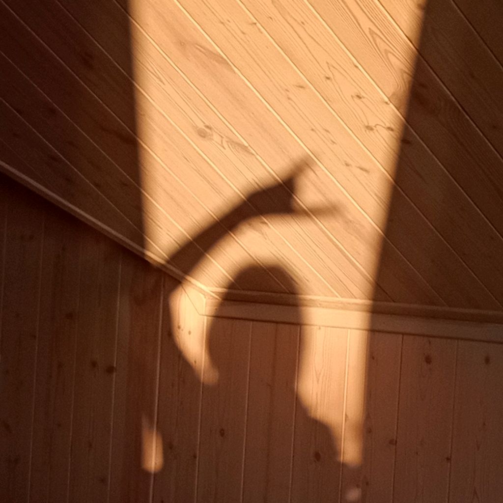 Иконка канала ✨Янулька✨