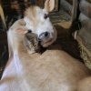 Иконка канала Жизнь в селе