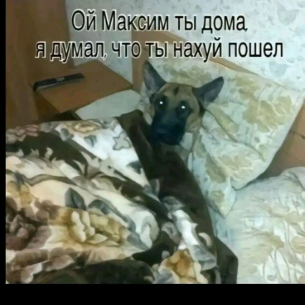 Иконка канала Брадок никит