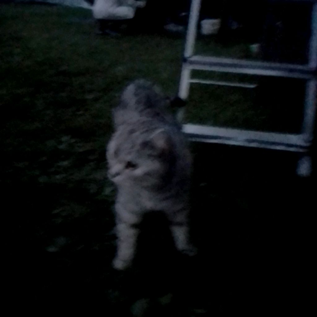 Иконка канала Чебупель