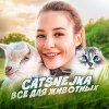 Иконка канала Catsnejka Мой пушистый питомец