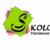 Иконка канала skololit