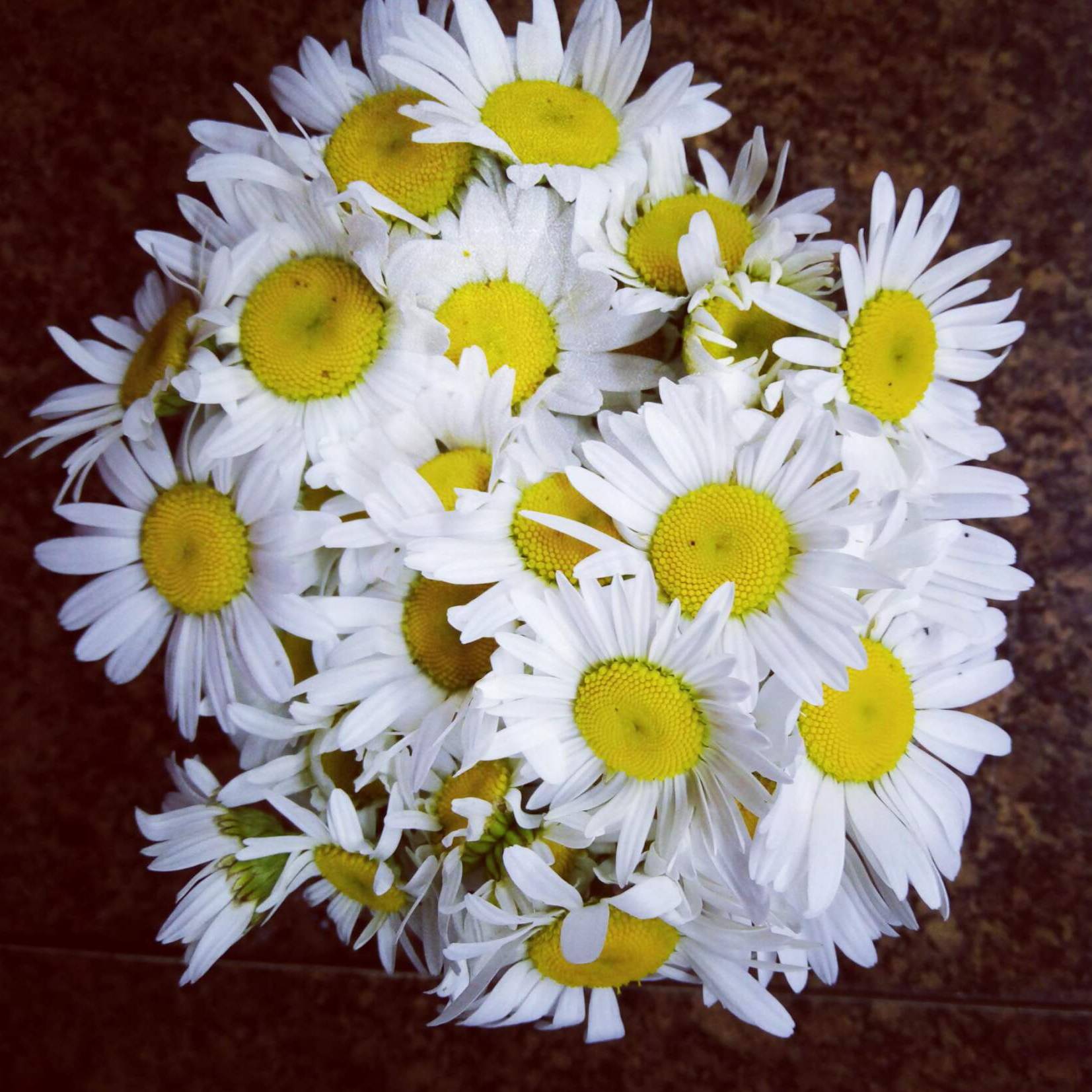 Иконка канала Обо всём понемногу с Натальей