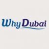 Иконка канала Why Dubai