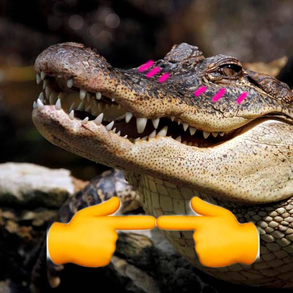 Иконка канала YaPoChi