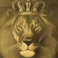 Иконка канала Скандинаффф