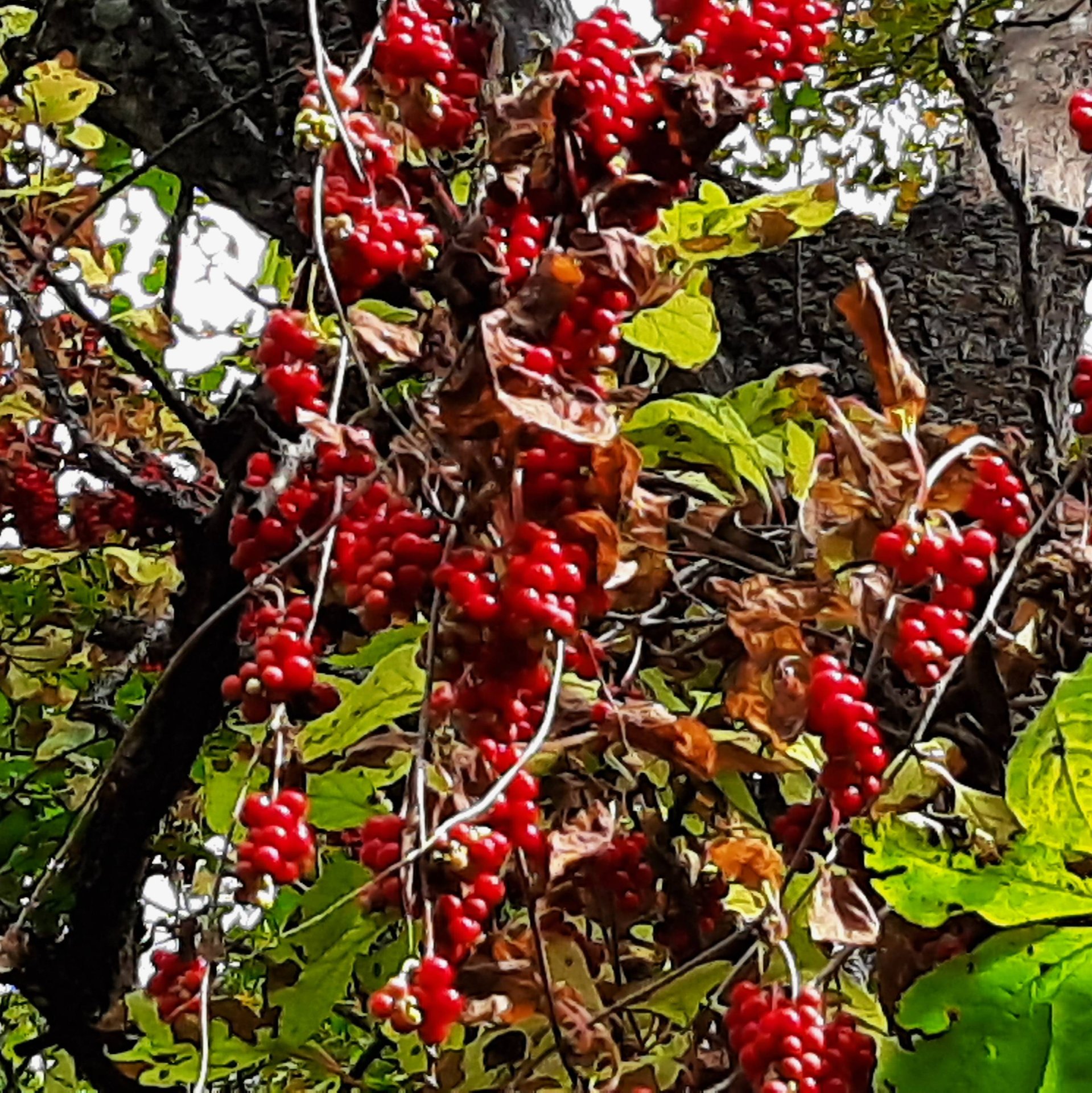 Иконка канала Приморье through life