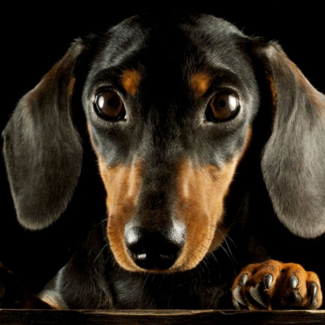 Иконка канала Кирилл и Кузя