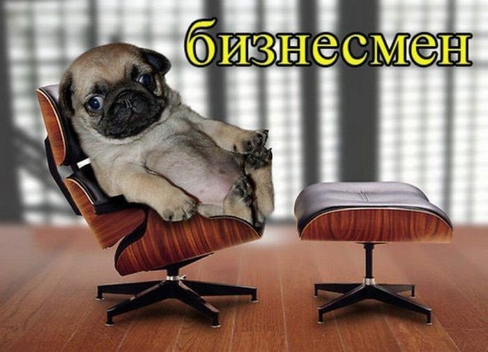 Иконка канала rutube_account_251779