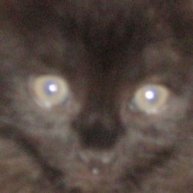 Иконка канала MISHGUN