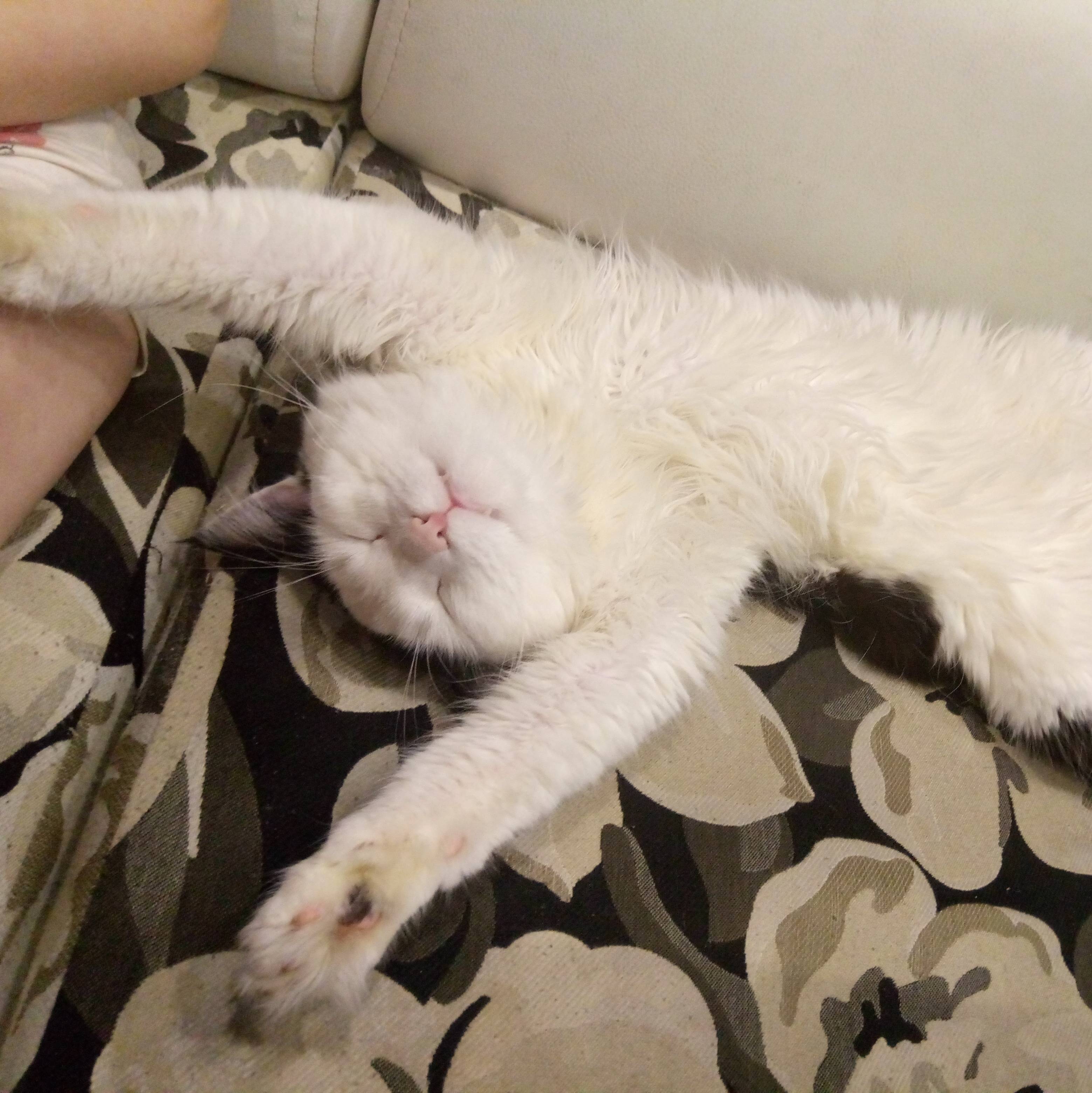 Иконка канала VikaMaslo