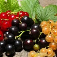 Иконка канала Вяжу и живу.Наталья Смородина.