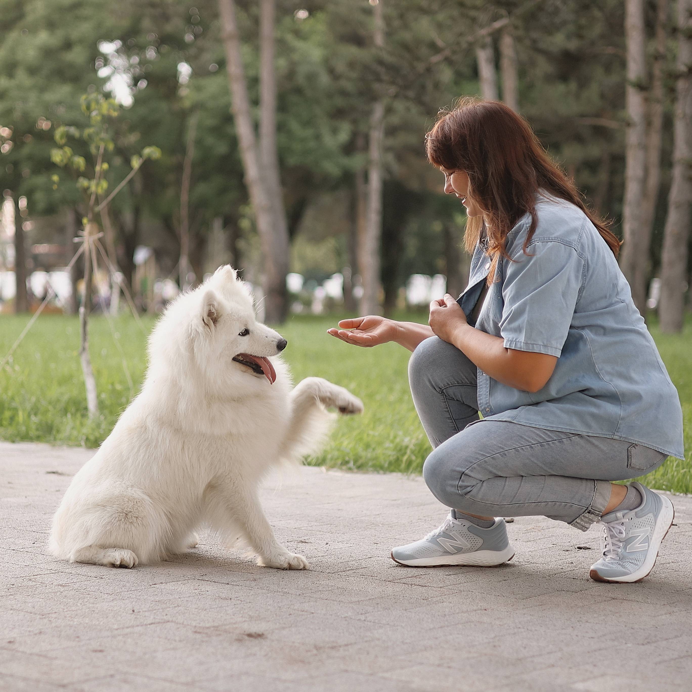 Иконка канала Ulybka_amazonki блог про собак и дрессировку