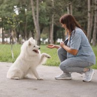 Иконка канала Ulybka_amazonki блог про собак и дрессировку