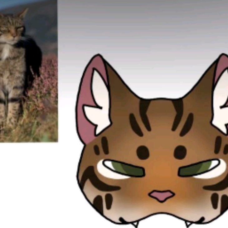 Иконка канала catus_188