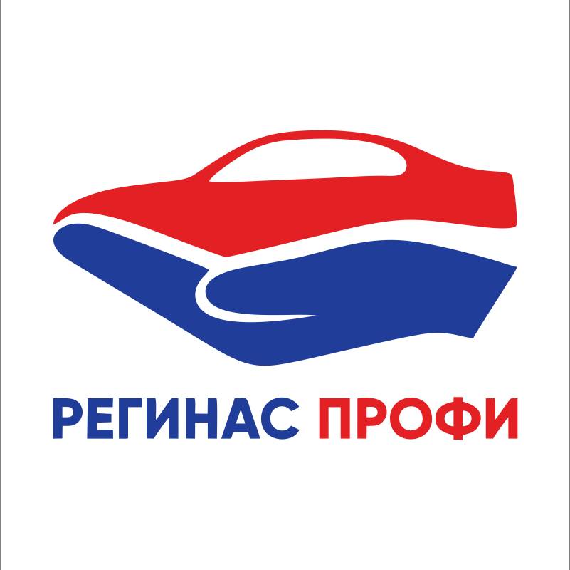 Иконка канала Регинас Профи