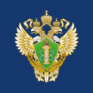 Иконка канала Ростехнадзор