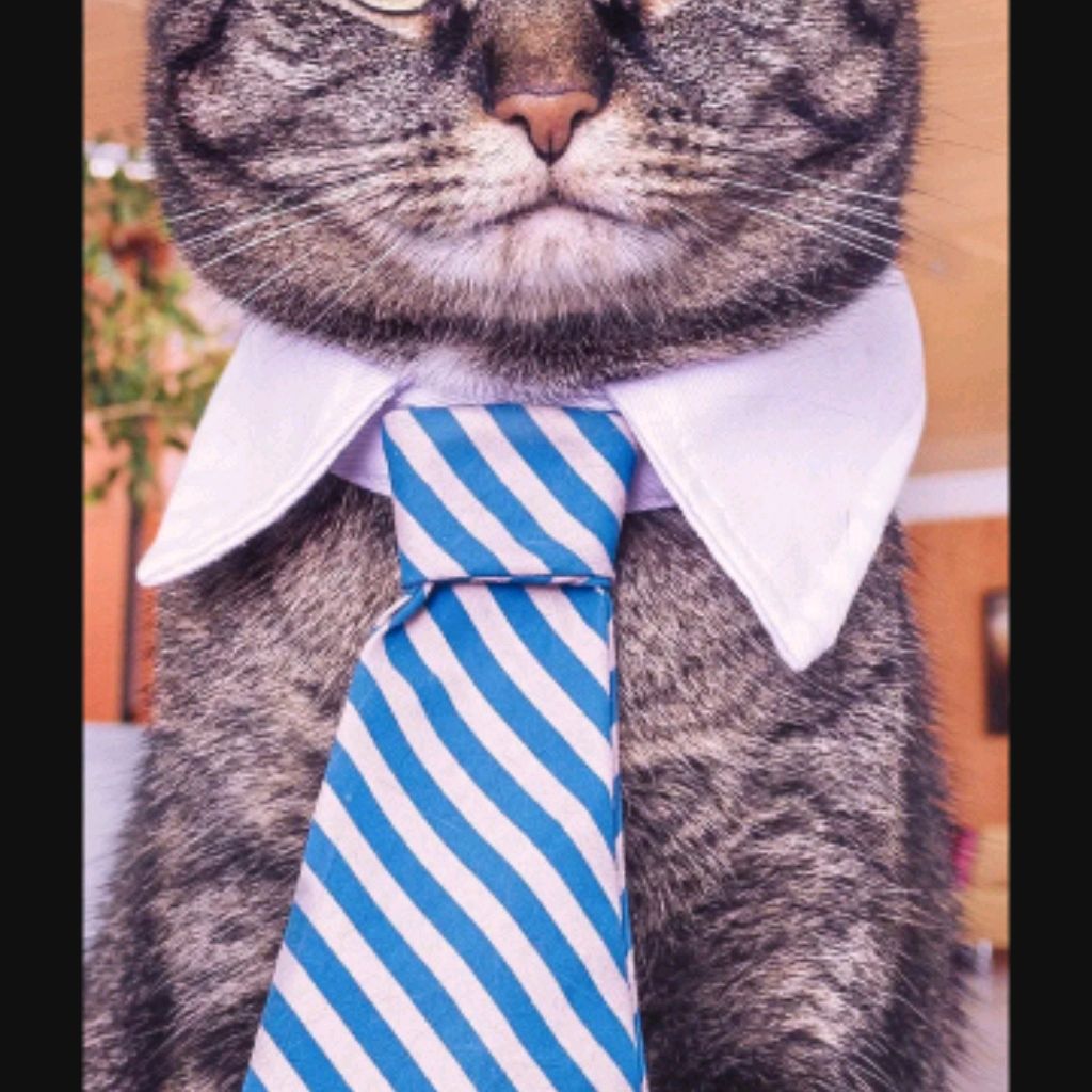 Иконка канала duckflower