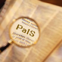 Иконка канала Пал Саныч