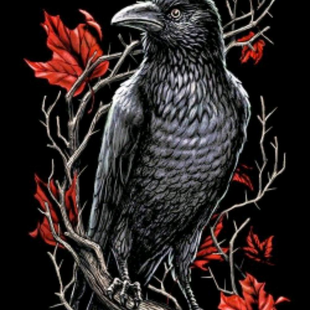 Иконка канала BopoN_42RUS