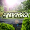 Иконка канала Записки Перекупа
