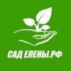 Иконка канала САДЕЛЕНЫ.РФ