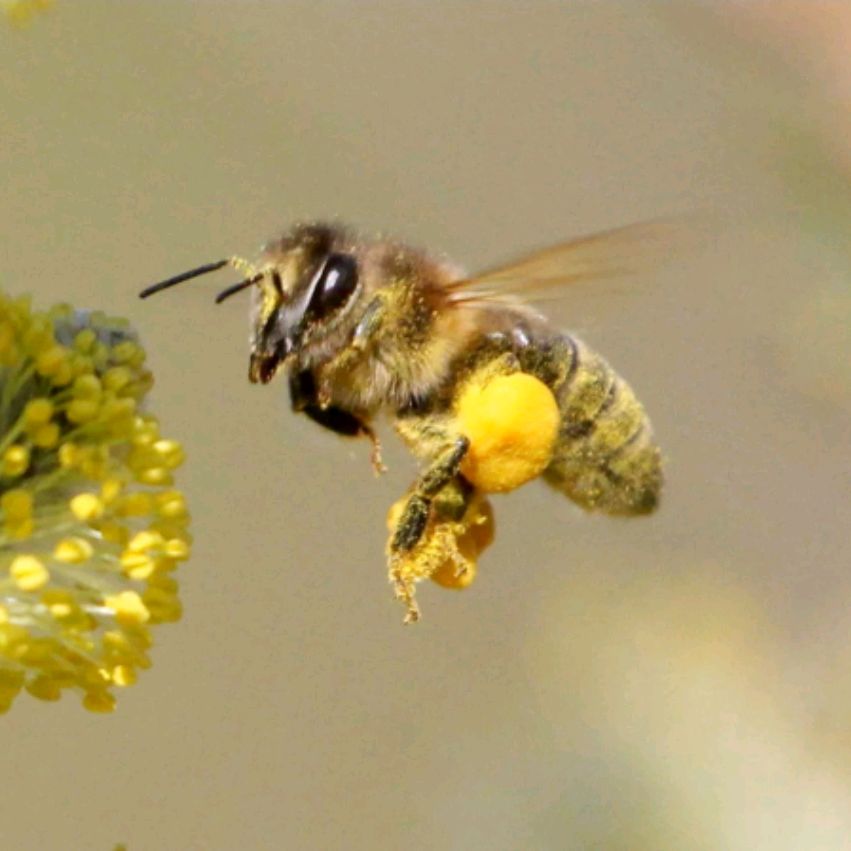 Иконка канала УЛёнчика