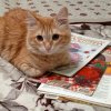 Иконка канала Любимый крючок и не только