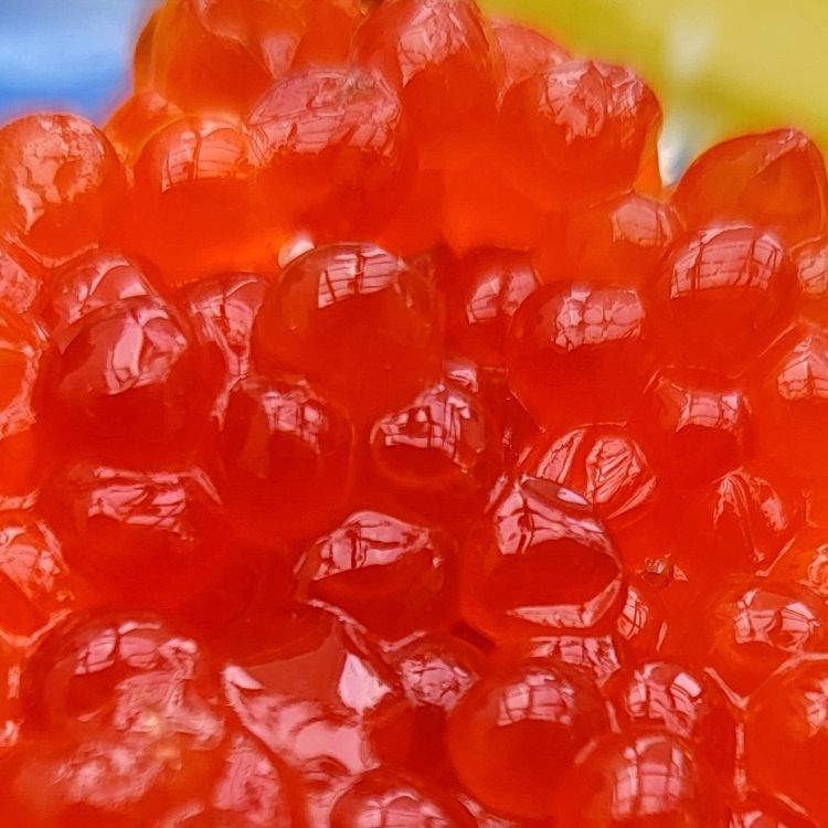 Иконка канала Камчатка Морепродукты Новосибирск