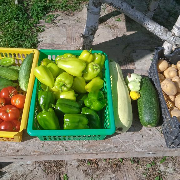 Иконка канала ЛПХ Тяп-Ляп.