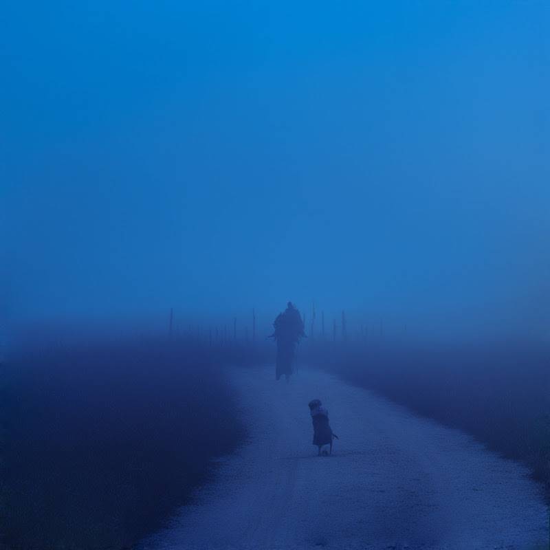 Иконка канала SHXRK