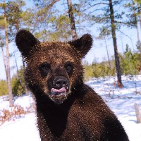 Иконка канала oopt86