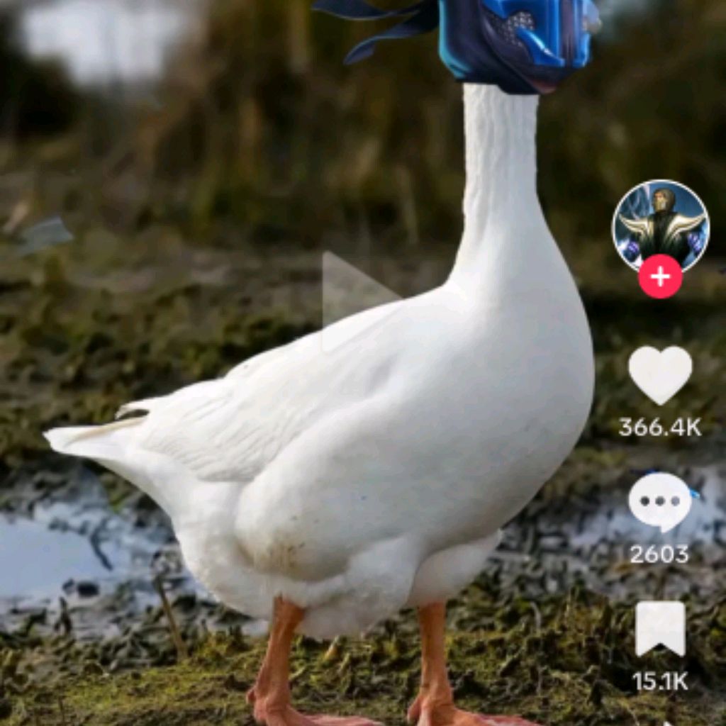 Иконка канала Сергей