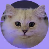 Иконка канала Юмичка