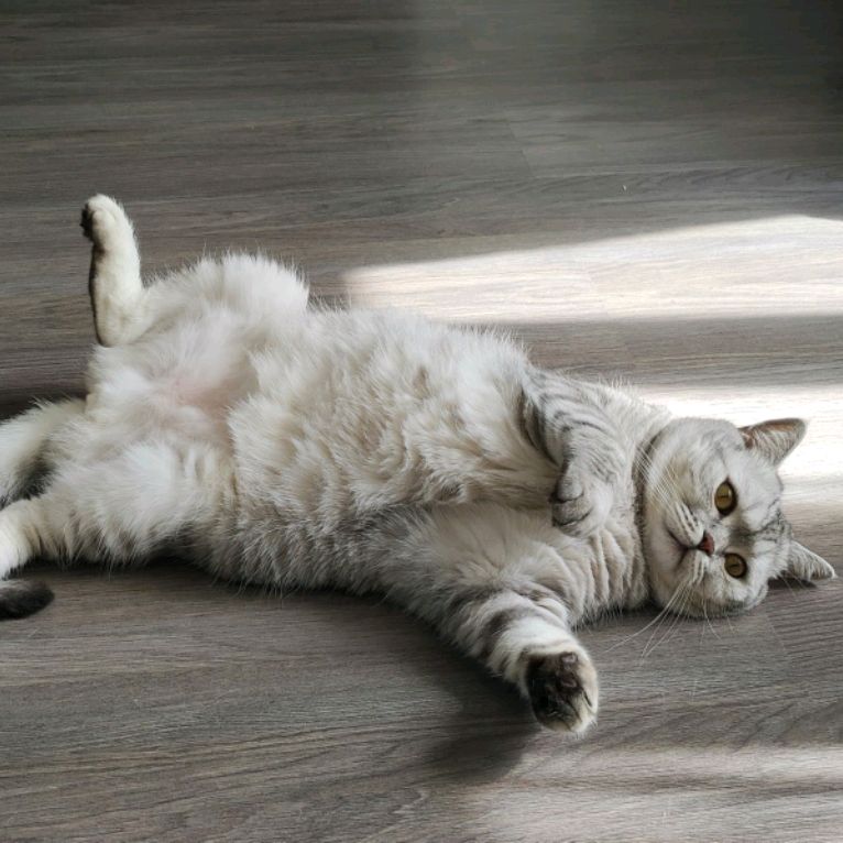 Иконка канала Кузя