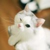 Иконка канала Тканал 1234😁r