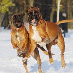 Иконка канала В Зените Удачи