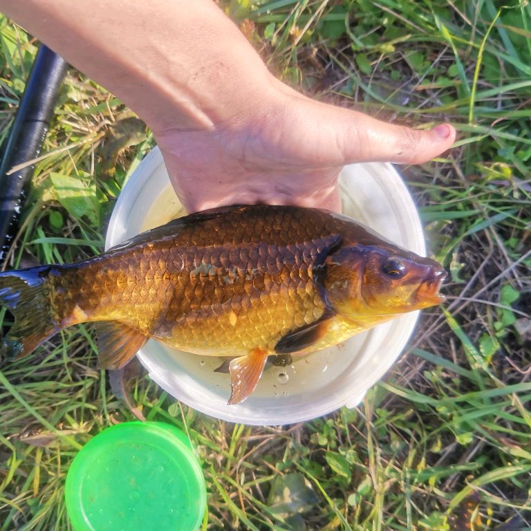 Иконка канала Рыбак 51