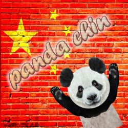 Иконка канала panda chin