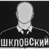Иконка канала Шкловский