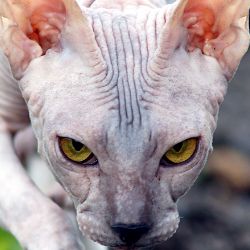 Иконка канала Андрей Приморский