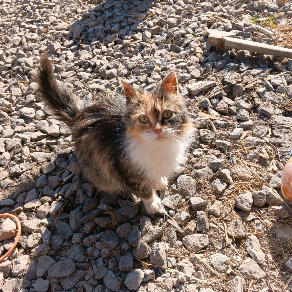 Иконка канала Жизнь Прекрасна