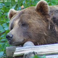 Иконка канала zurz