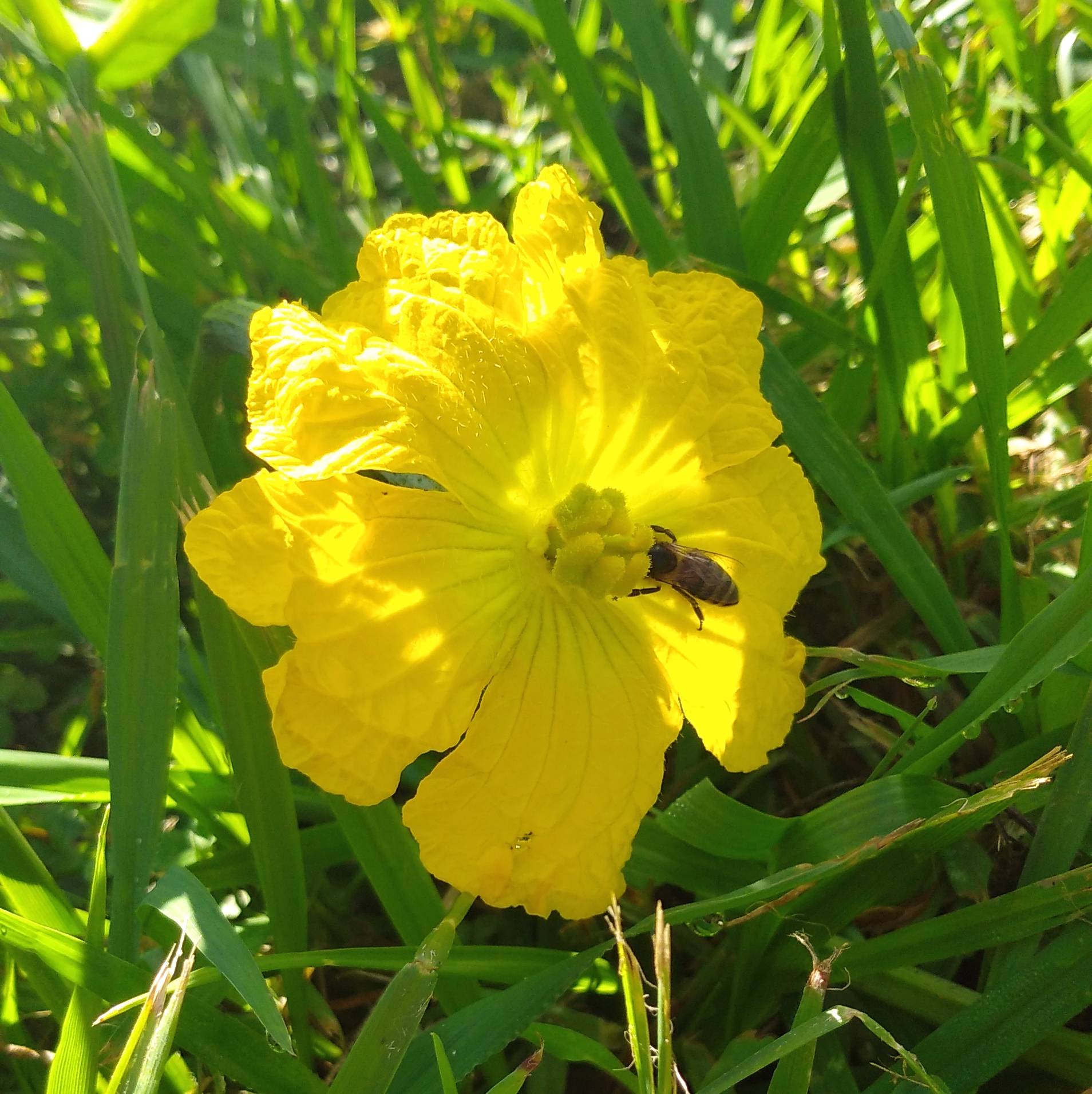 Иконка канала Мир Вокруг