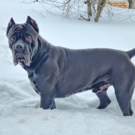 Иконка канала slavyan71