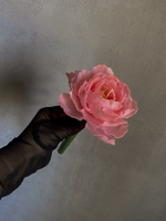 Иконка канала G.Ekaterina Svechnaya_lavka