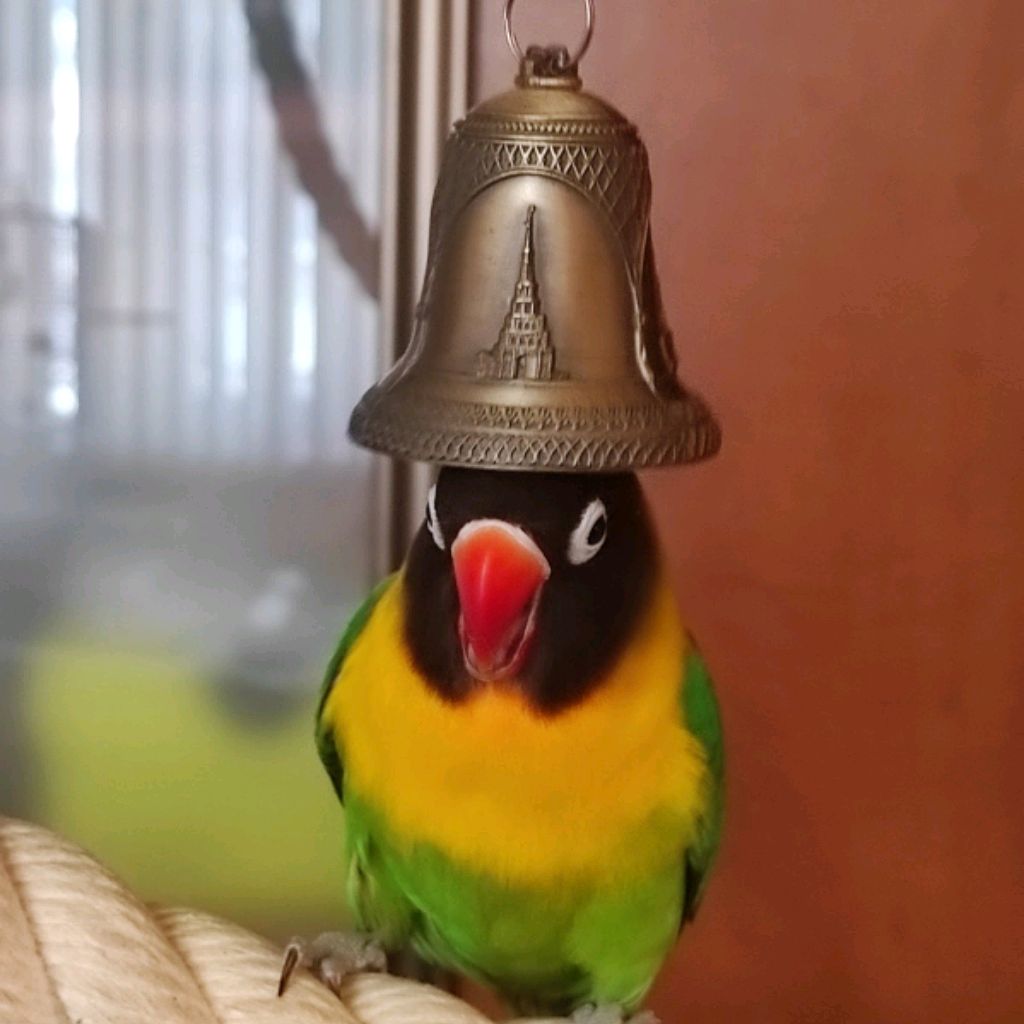 Иконка канала Rosdmiger